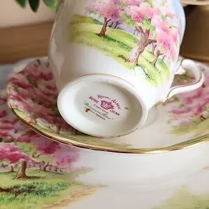 Royal Albert | Dining | Royal Albert Blossom Time Fine Hone China Tea ...